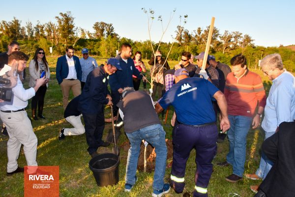 Parque José Batlle y Ordóñez: el nuevo espacio público consolida la ...